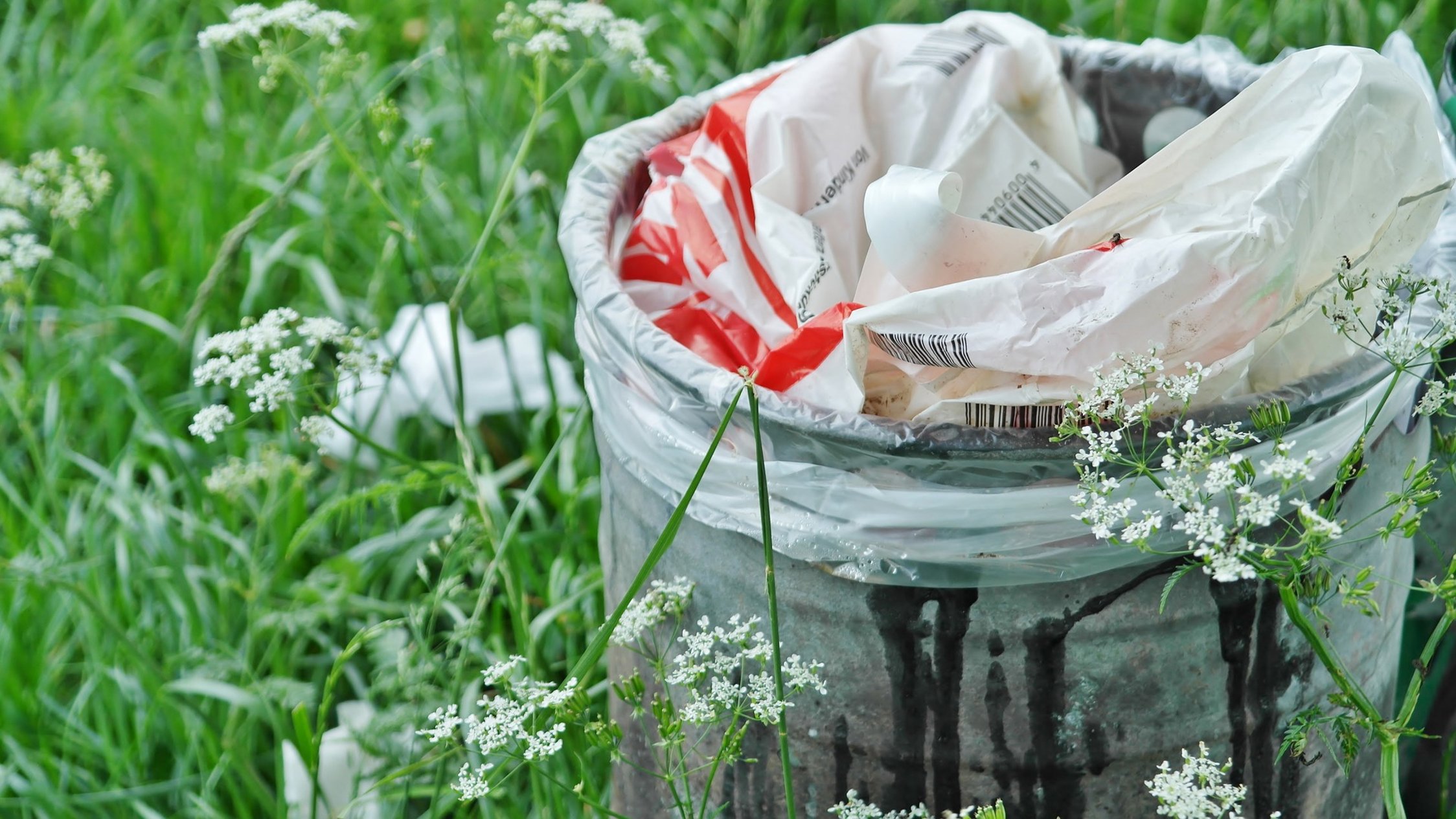 Material für ehrenamtliche Müllsammlung | Eschweiler